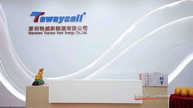 公司概述 - Shenzhen Topway New Energy Co., Ltd.