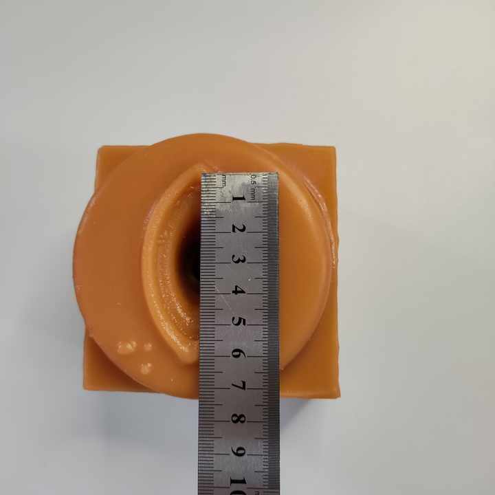 KyrenMed Female Lateral Episiotomy Training Model Gynecological Surgery ...