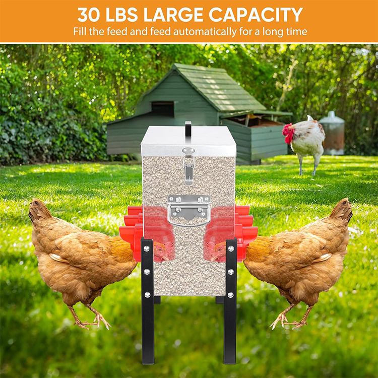 JH-Mech Automatic Poultry Feeder Box Weatherproof 6 Feeding Ports 30 ...