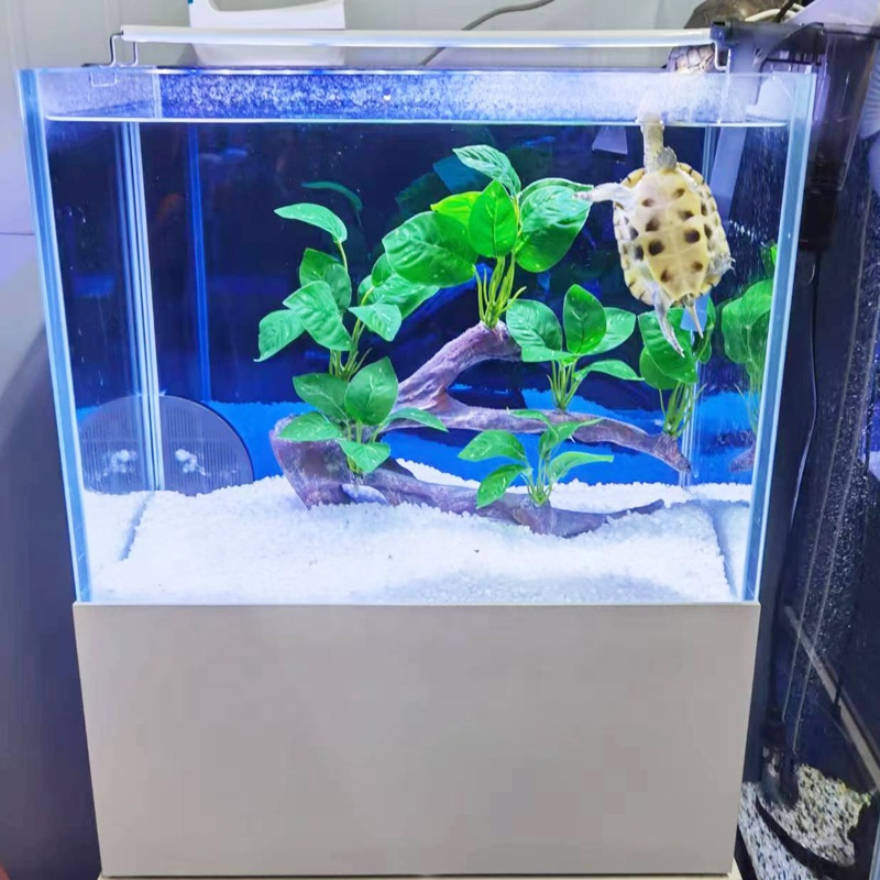 Planta De Acuario De Cerato Ceratophyllum Demersum, Planta Viva Para