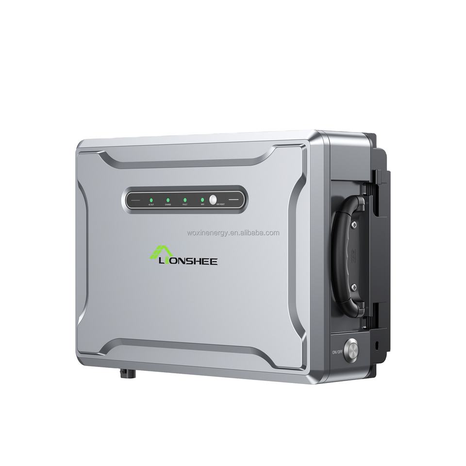 2400W Hybrid Inverter | Bi-directional Charging Built-in MPPT 4800W ...