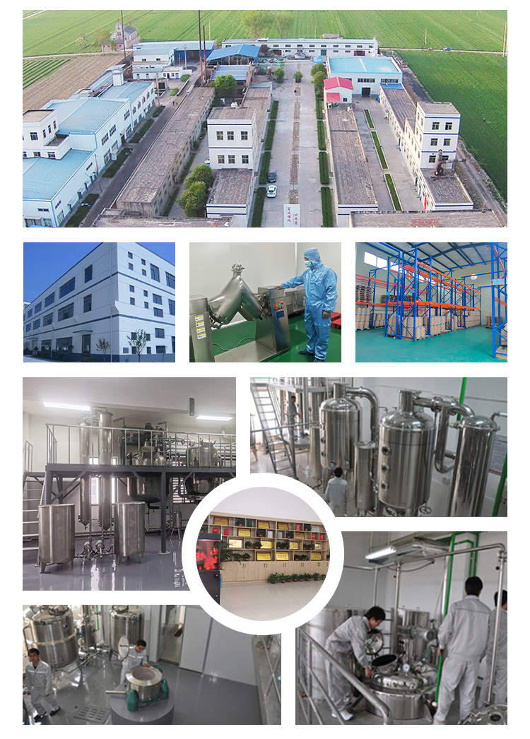 How to Choose the Best Qingshantang: A Complete Buying Guide