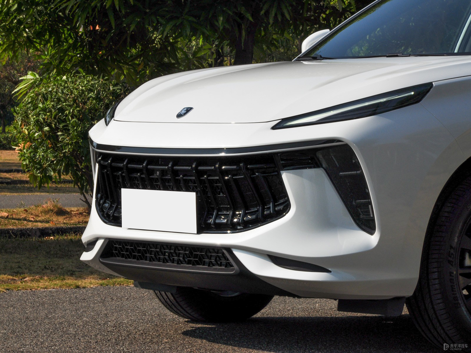 High-Quality Automotive Front Grille for DFM Dongfeng Forthing FUTURE ...