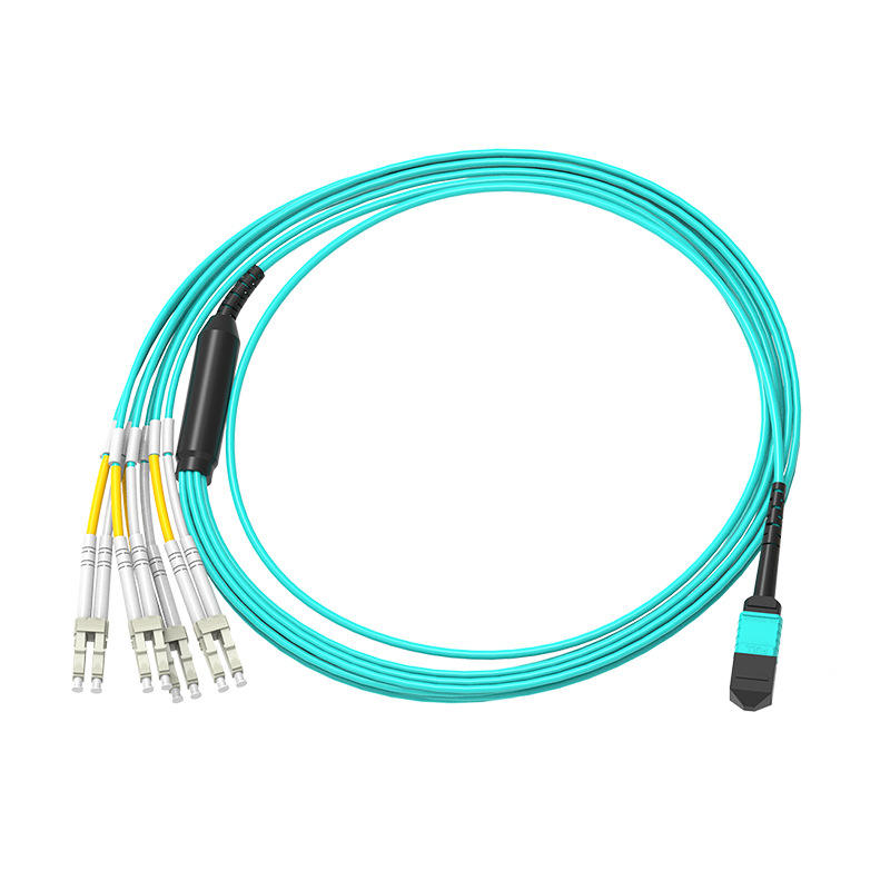 MPO-MPO Fiber Optic Patch Cable 24-Core OM4 Multimode Jumper with DLCTM ...