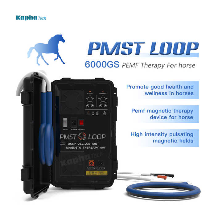Pemf Machine Horses - Deep Oscillation Therapy for Injuries