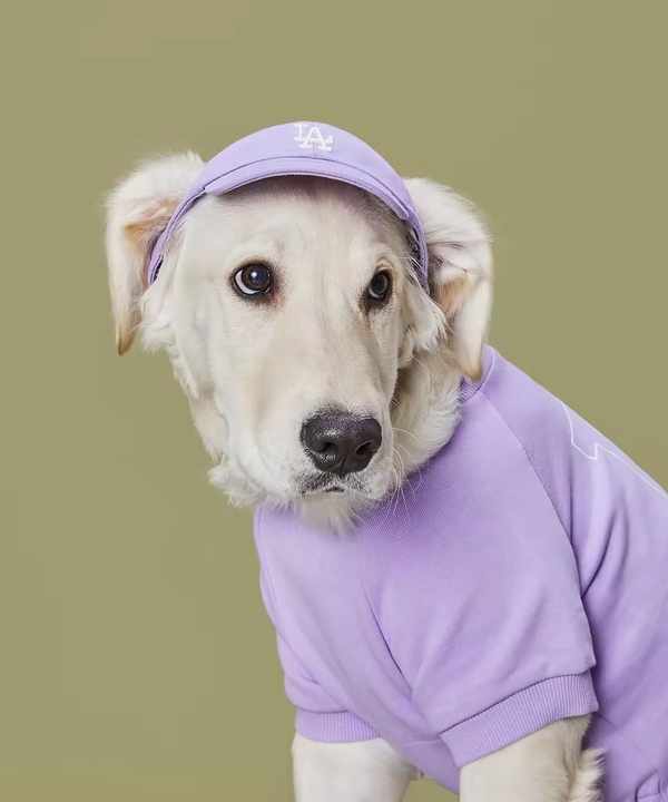 Dog Baseball Cap - Fashionable Pet Hats with Brand Logo