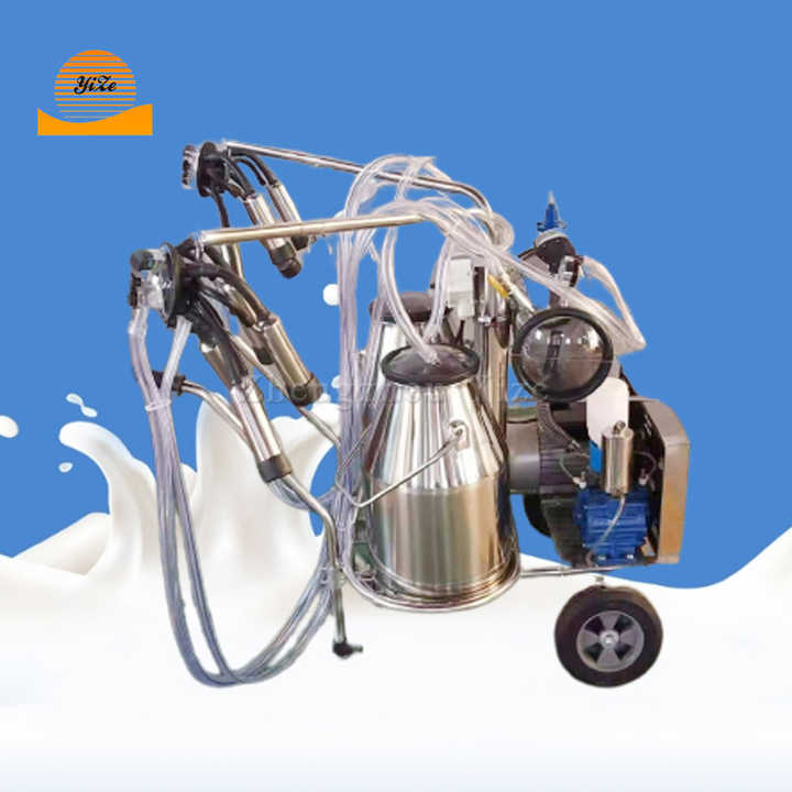 Small Vacuum Pump for Cow Milking Machine - High Efficiency