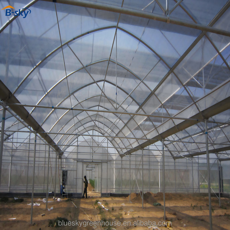 Hot Galvanized Steel Structure Plastic Film Greenhouse for Commercial ...