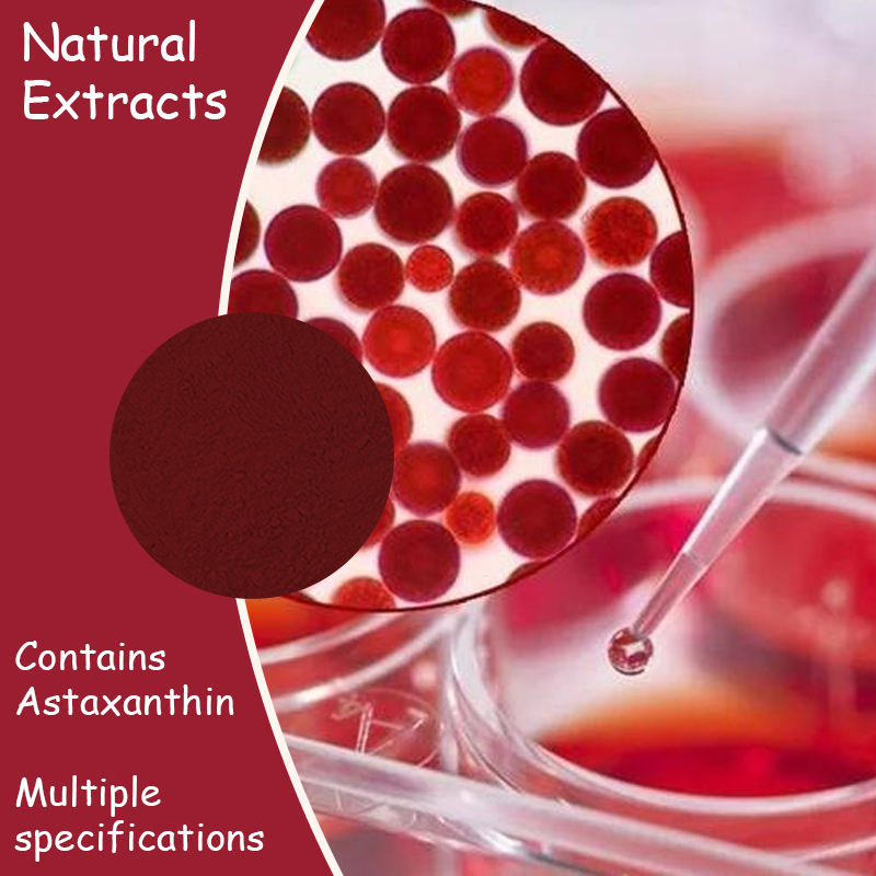 Natural Astaxanthin Powder Haematococcus Pluvialis Extract Astaxanthin ...