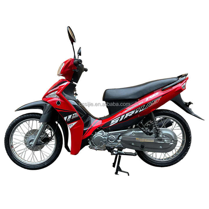 Zognsen 4-stroke Engine Moto Sirius Original SIRIUS RC 110cc 115cc ...