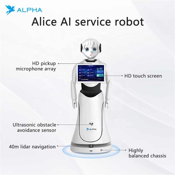 Alpha Robotics Alice Programmable Humanoid Welcom Robot for Reception ...