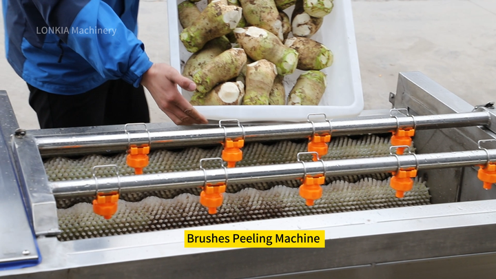Brush Washing Potato Peeling Machine - High Productivity