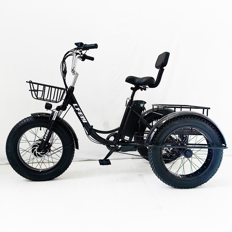 How to Choose the Best Electric Trike Foldable for Your Needs