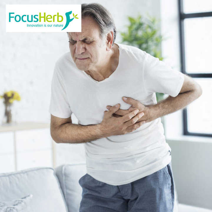 FocusHerb USA Warehouse Sunflower Extract Sunflower Lecithin Powder 20% ...