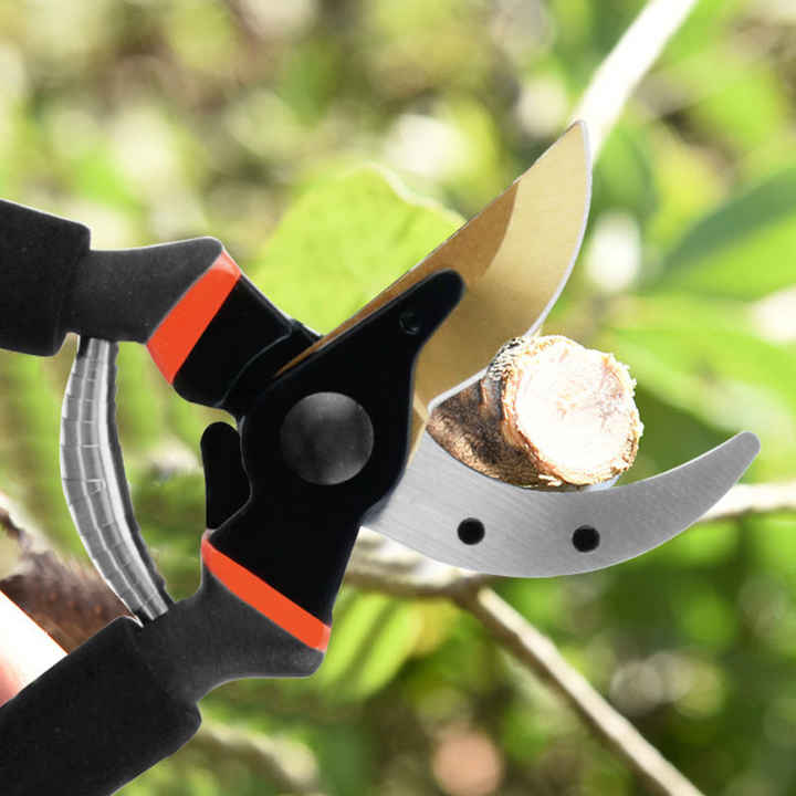 Stainless Steel Orchard Pruning Shears Gardening Scissors Hand Tool for ...