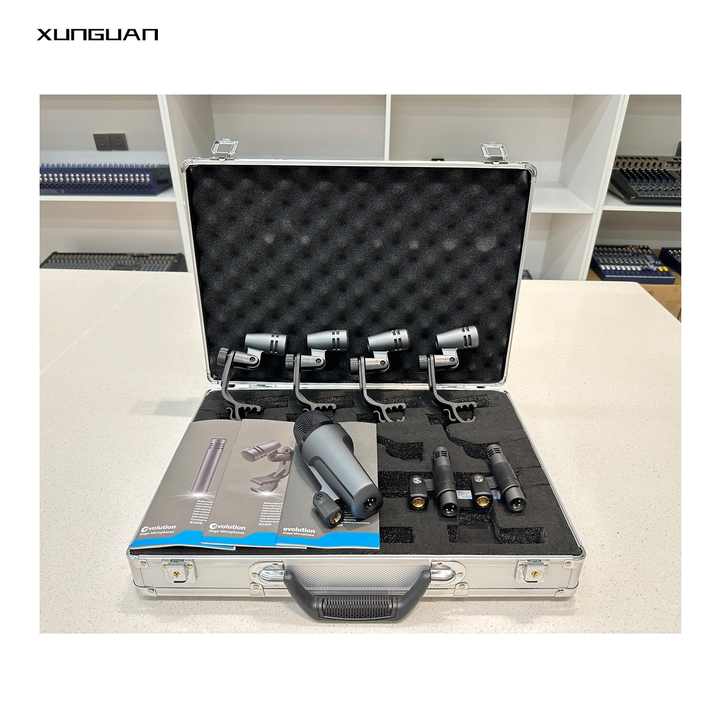 E600 High-End Musical Instrument Microphone - Wired & Dynamic