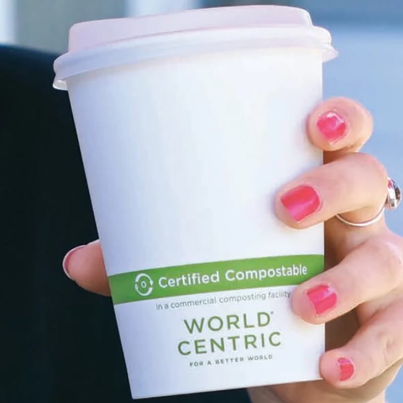 12oz Compostable White Paper Insulating Cups Eco Friendly Plant-Based ...
