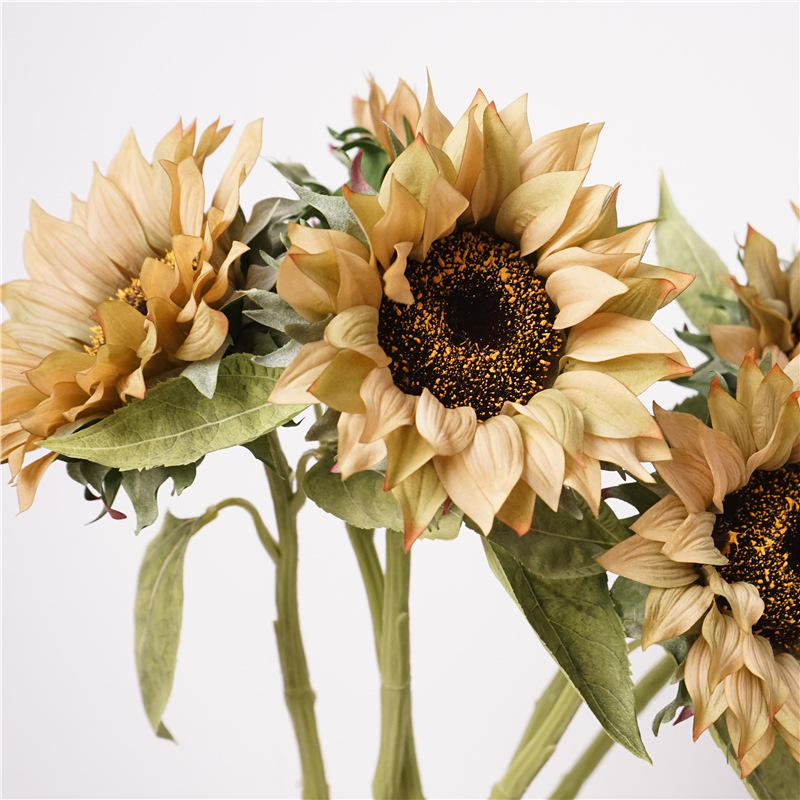 How to Choose the Best Sunflower Arrangement for Your Home or Event