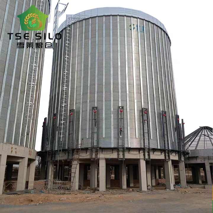 5000 Tons Steel Soybean Rice Granary Grain Storage Bins
