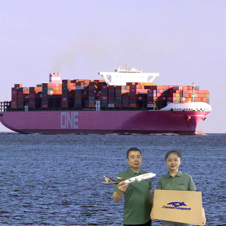Forwarder Sea Shipping Container Freight from China