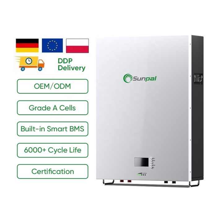 Sunpal锂Lifepo4太阳能电池48V 200Ah 100Ah 10Kwh 51.2V 300Ah电源壁挂式Lifepo4锂电池| Alibaba.com