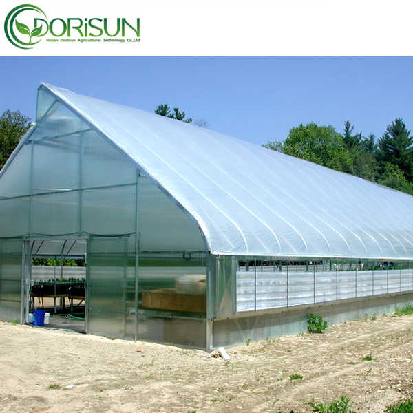Cheap Agricultural Tunnel Greenhouse for Snail Farming in Ghana