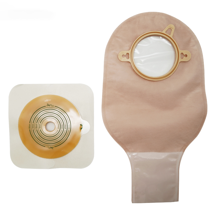 Zhejiang Longterm Medical Technology Co., Ltd - Wound Dressing; Ostomy ...