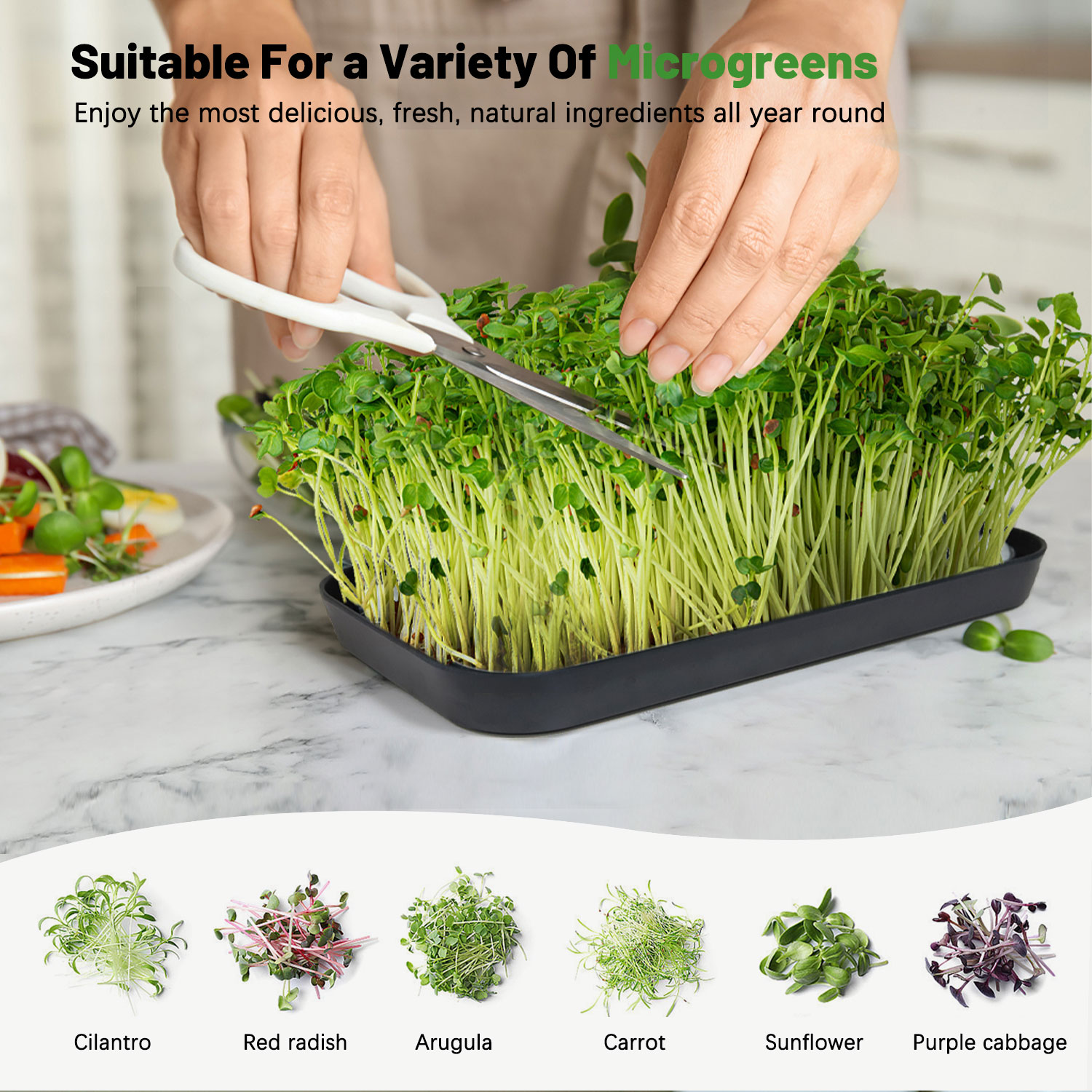 How to Choose the Best DIY Microgreen Kit for Home Growing