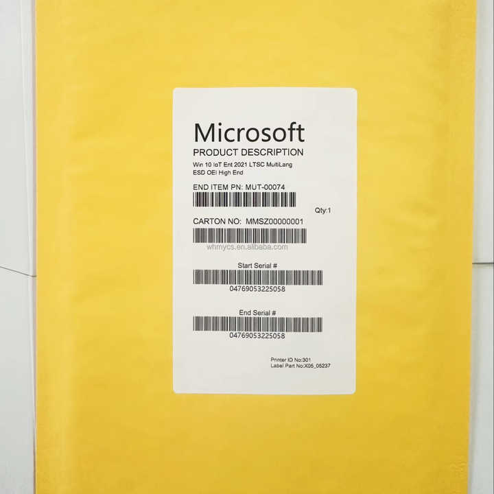 Win10 IoT 2021 LTSC High End OEM COA Key Sticker DVD Package Lifetime ...
