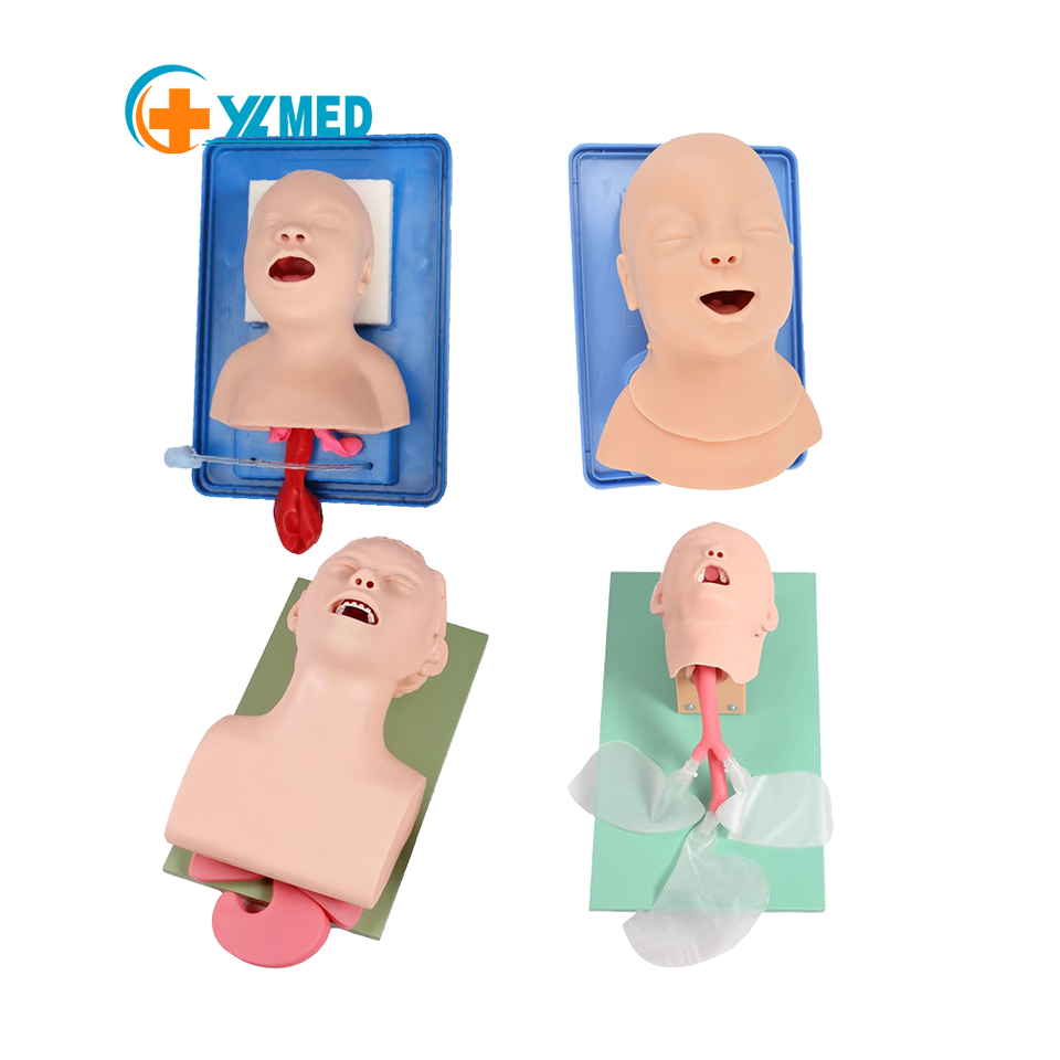 Tracheal Intubation Manikin Model Kit for Medical Education with Four ...