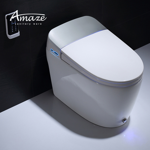 Smart Toilet - Back to Wall Mounted Ceramic Wc with Bidet