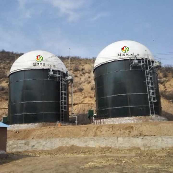 Professional Biodigester Steel Tanks Biogas for Chicken Farm Bio Gas ...