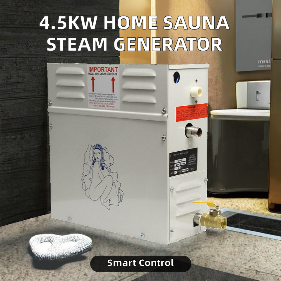 3kw/220v Home Sauna Steam Bath Machine Wet Steam Generator with ...