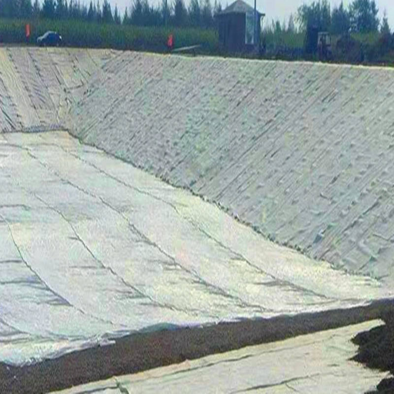 HDPE Polyethylene Composite Geomembrane Geotextile for Biogas Digester ...