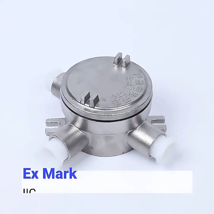 ATEX Outdoor Anticorrosion WF1 Explosion-Proof Power Stainless Steel ...
