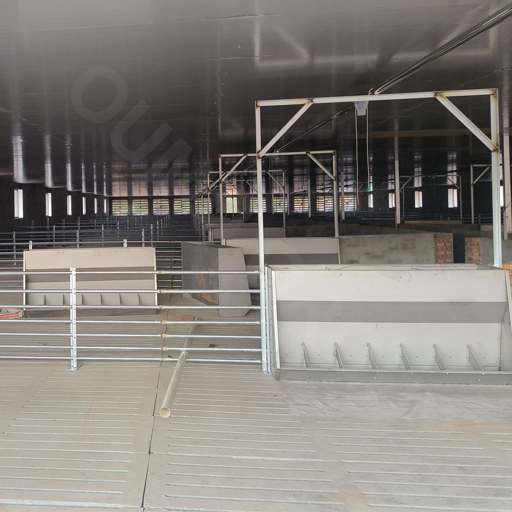 Premium Quality pig fatten age for Global Business Buyers