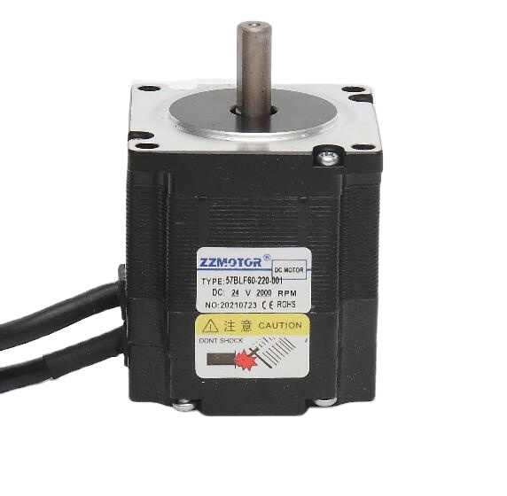 ZZ-Motor 24V/48V BLDC DC Motor 3000RPM 63W 57BLF60-230 Explosion-Proof ...