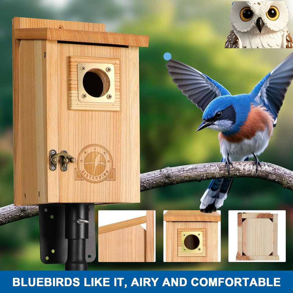 Bird Houses for Outside Clearance with Copper Guard, Cedar Bird House ...