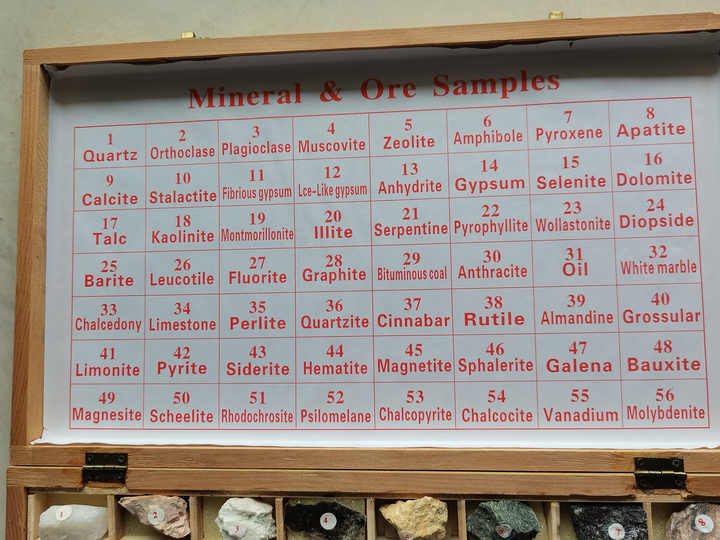 Gelsonlab HSGM-048 56 Kinds Mineral and Ore Samples for Geography ...