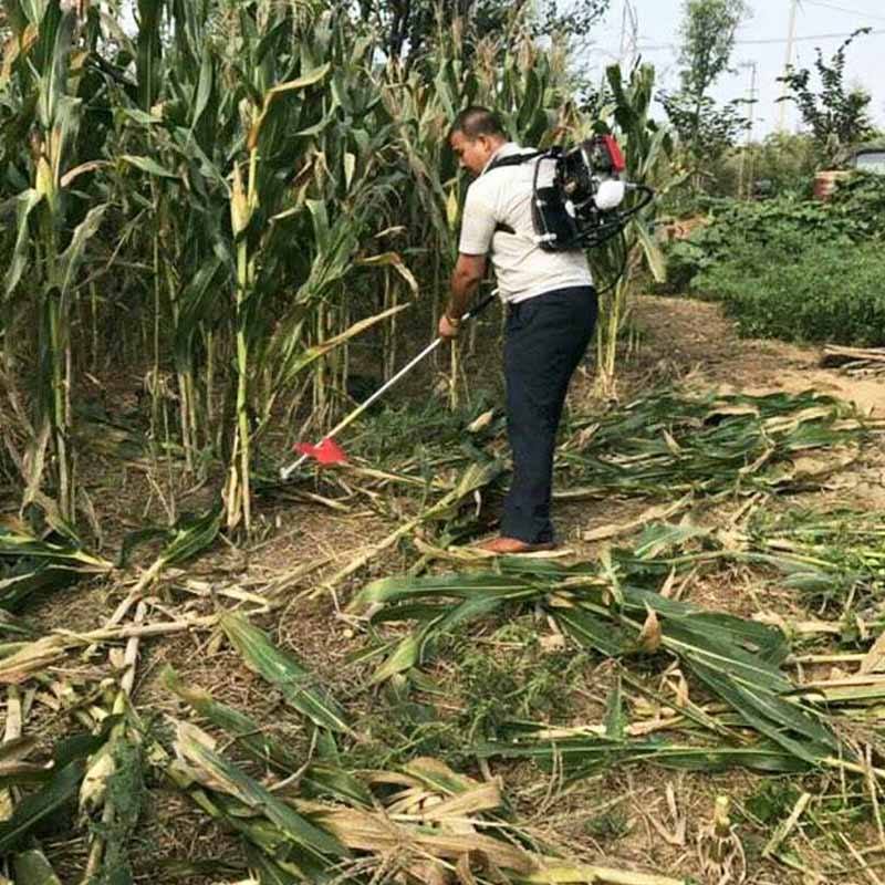 Customized Accessories Steel Wire Wheel Trimmer Head Brush Cutter With ...