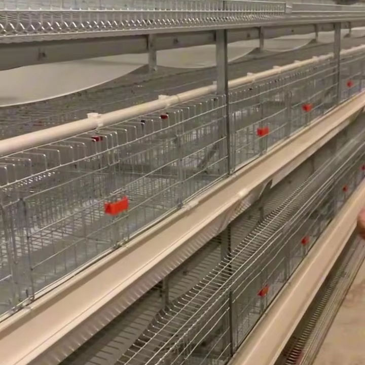 New Poultry Farm Layer Chicken Cage Battery H Cages 4 Tiers Zinc ...