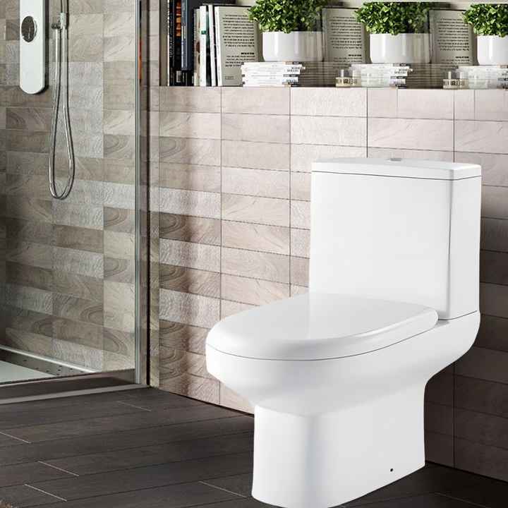 Customizable Modern Ceramic Toilet Seat with Dual-Flush PP Commode S ...