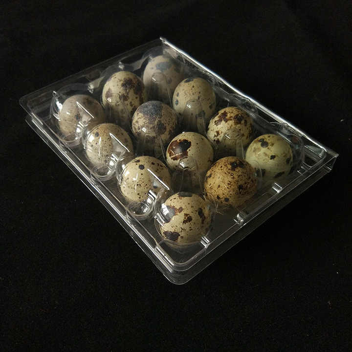 12 Holes clear Disposable Plastic Quail Egg Packaging Tray| Alibaba.com