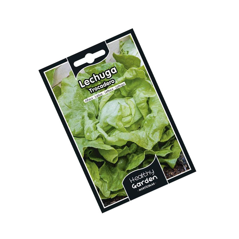 How to Choose Organic Seeds for Vegetables: Ultimate Buying Guide