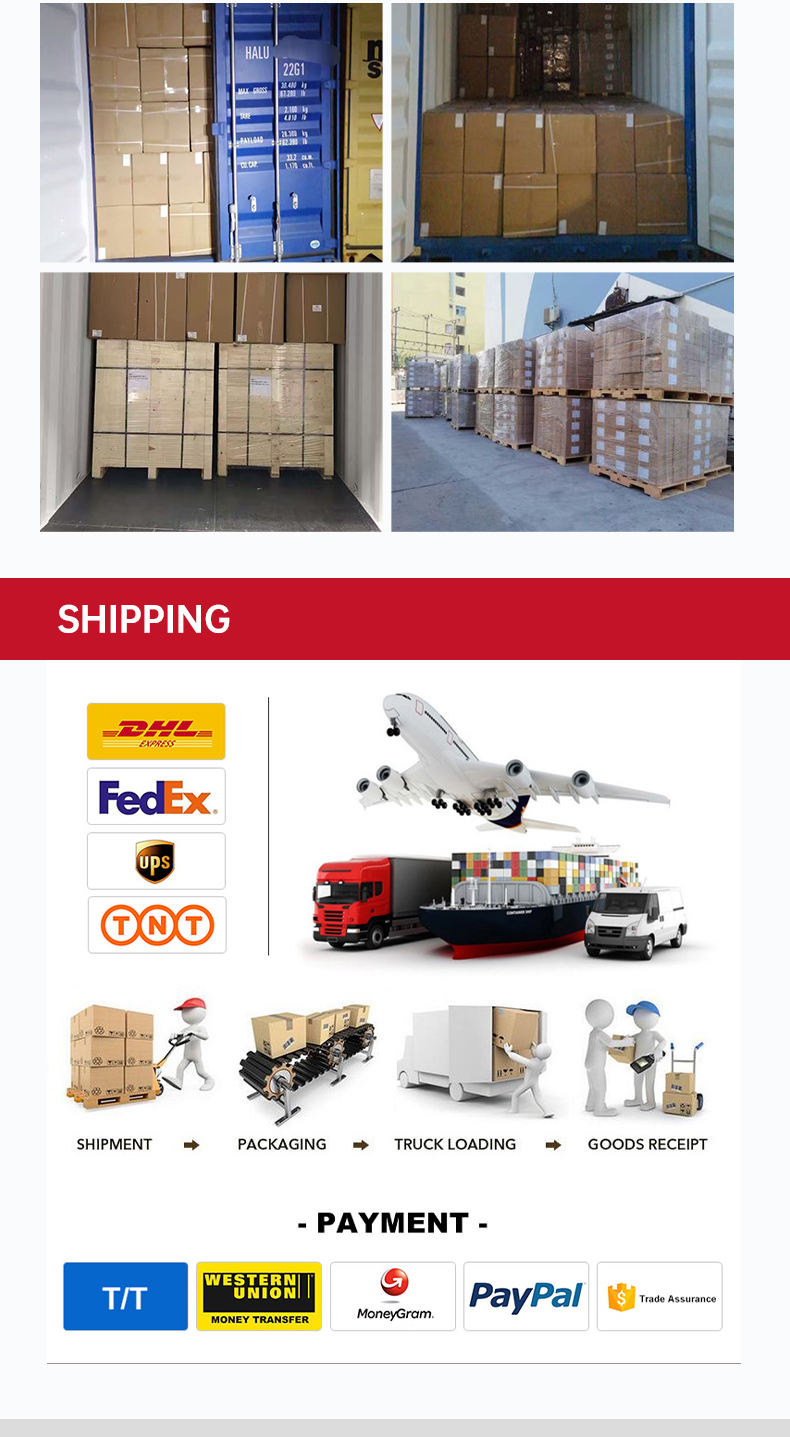 How to Choose the Best V-Band Clamp: A Complete Buying Guide