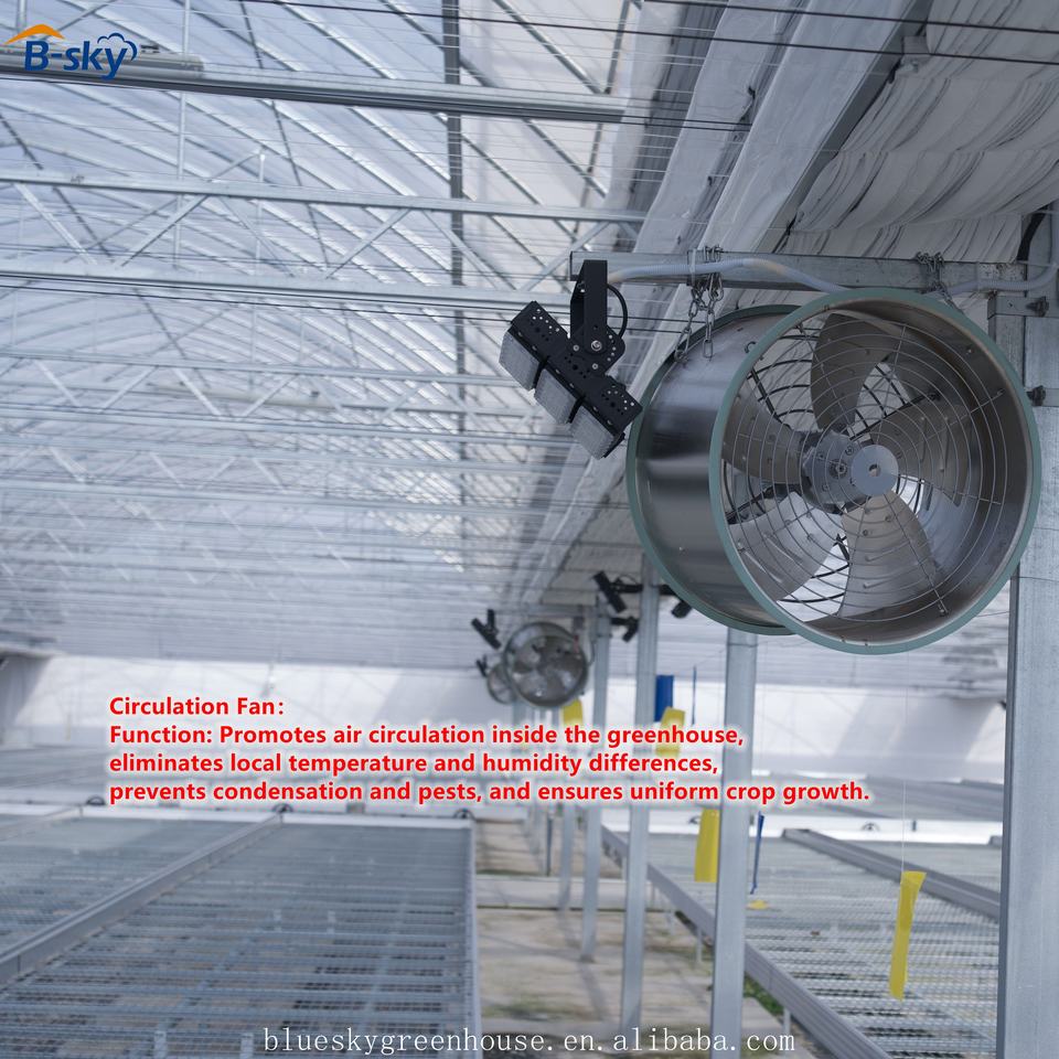 Modern Agricultural Glasshouse Structure for Hydroponic Cultivation and ...