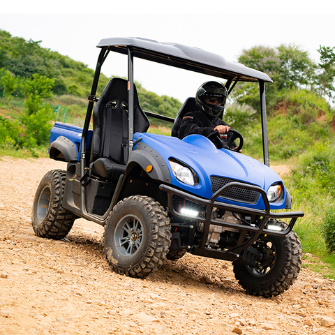 Hot Sale 4x4 10kw Electric UTV Electric Utility Vehicle with Automatic ...