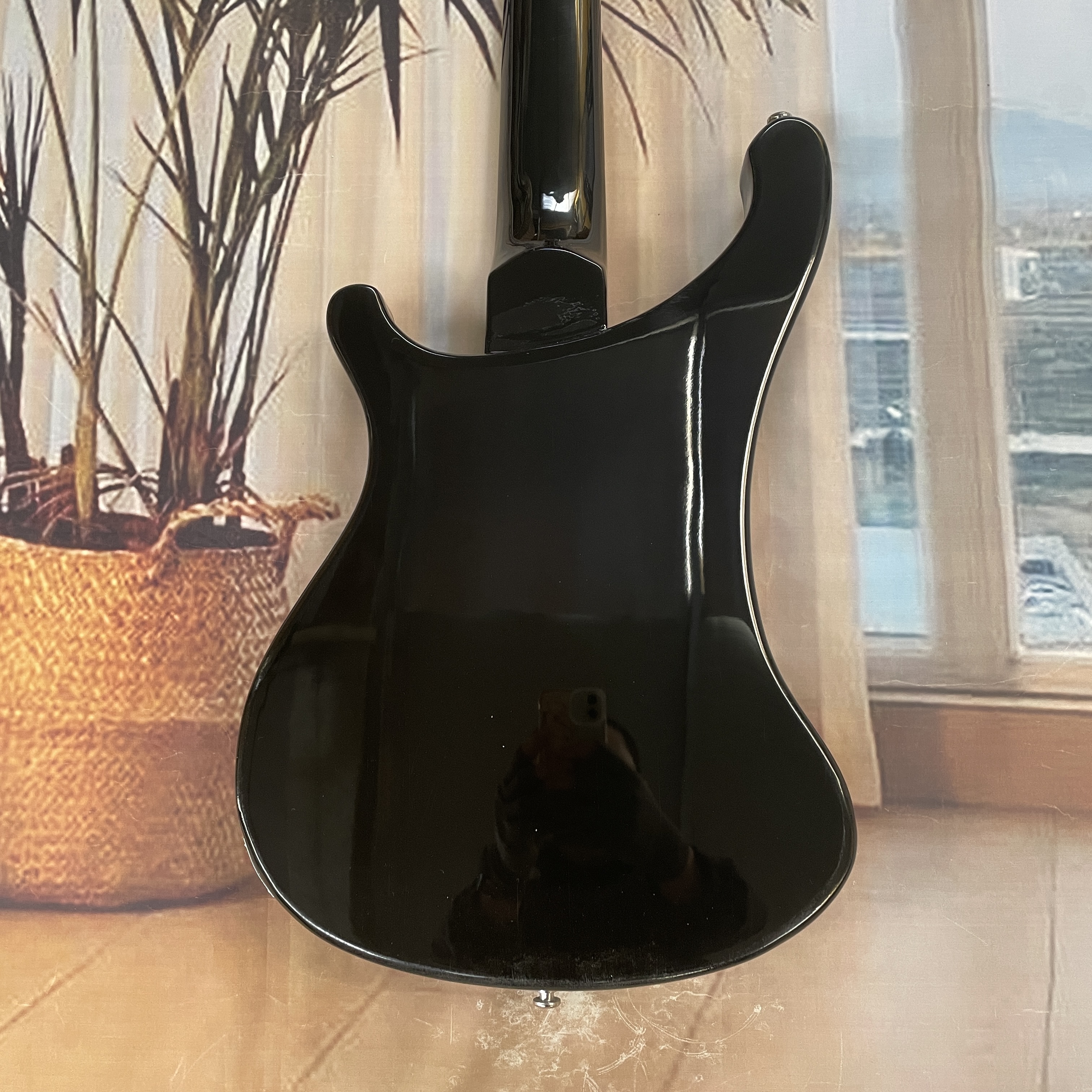 How to Choose the Best Rickenbacker 5 String Bass Guitar: Ultimate ...