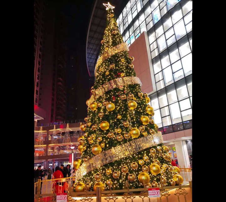 Giant Outdoor Christmas Trees - 20ft to 50ft Options