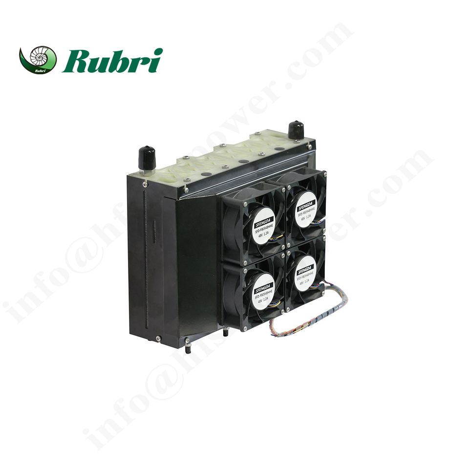 2kW Air-Cooled PEM Fuel Cell Stack Open Cathode Design for Special ...